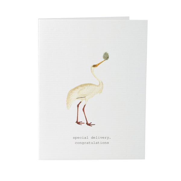 Special Delivery Congratulations Card - Eleish Van Breems Home