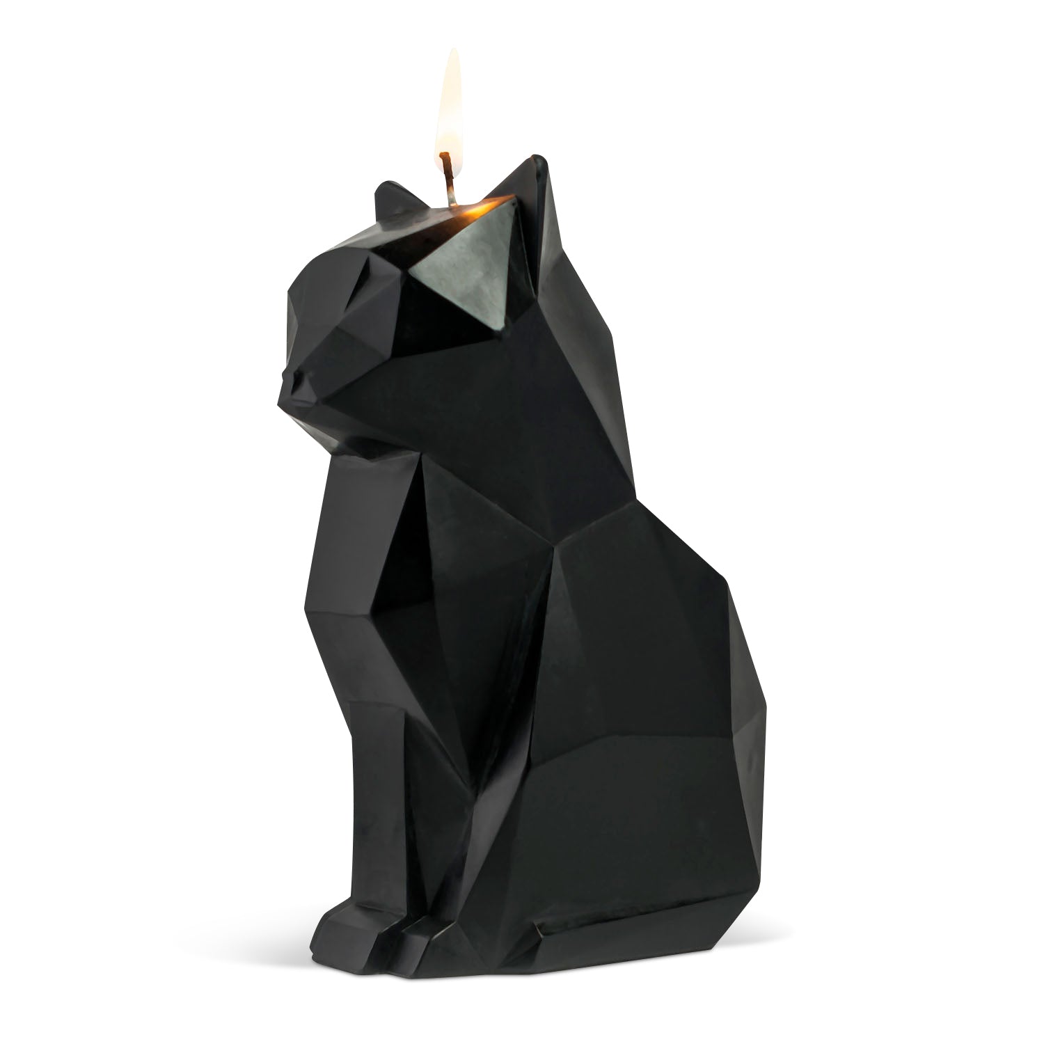 Pyropet candle store
